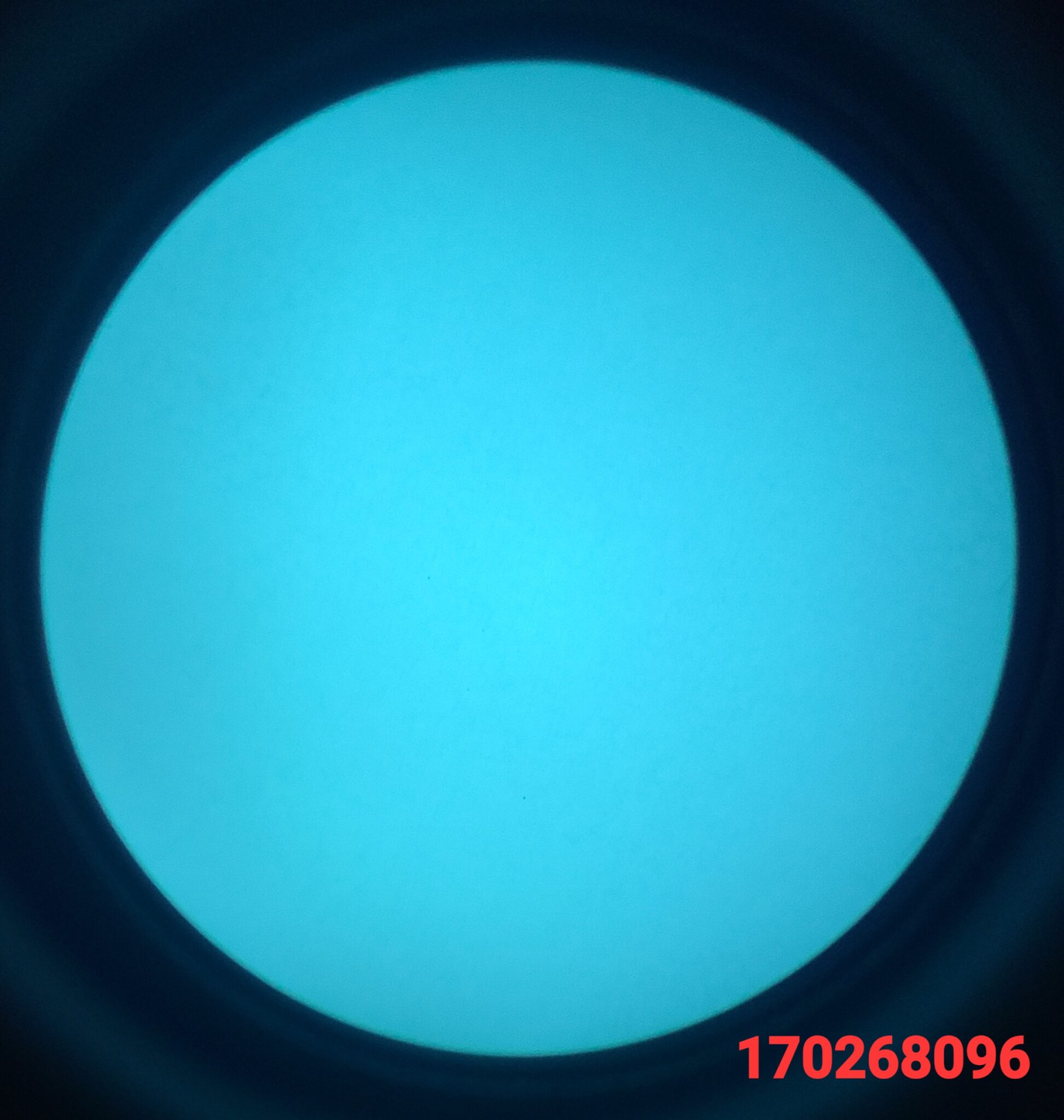 L3 Filmless White Phosphor Single Tubes - 11769 Style - Custom Night Vision