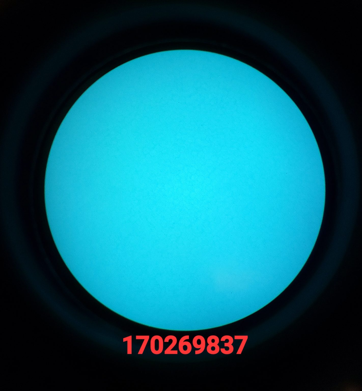 L3 Filmless White Phosphor Single Tubes - 11769 Style - Custom Night Vision