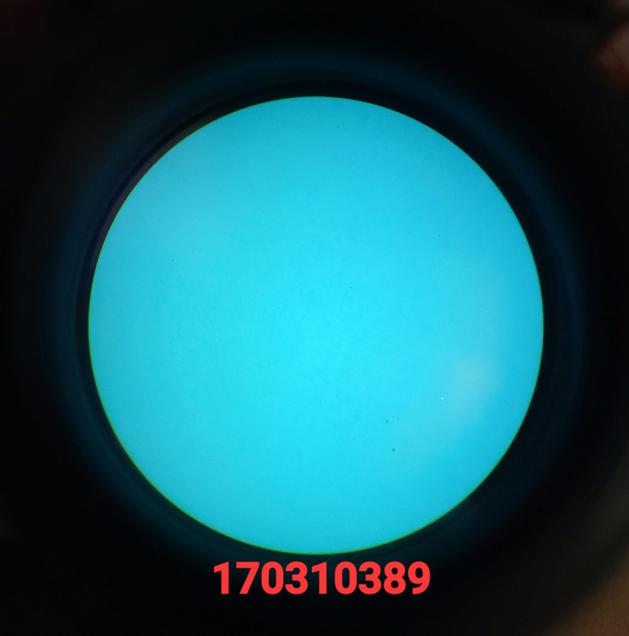 L3 Filmless White Phosphor Single Tubes - 11769 Style - Custom Night Vision