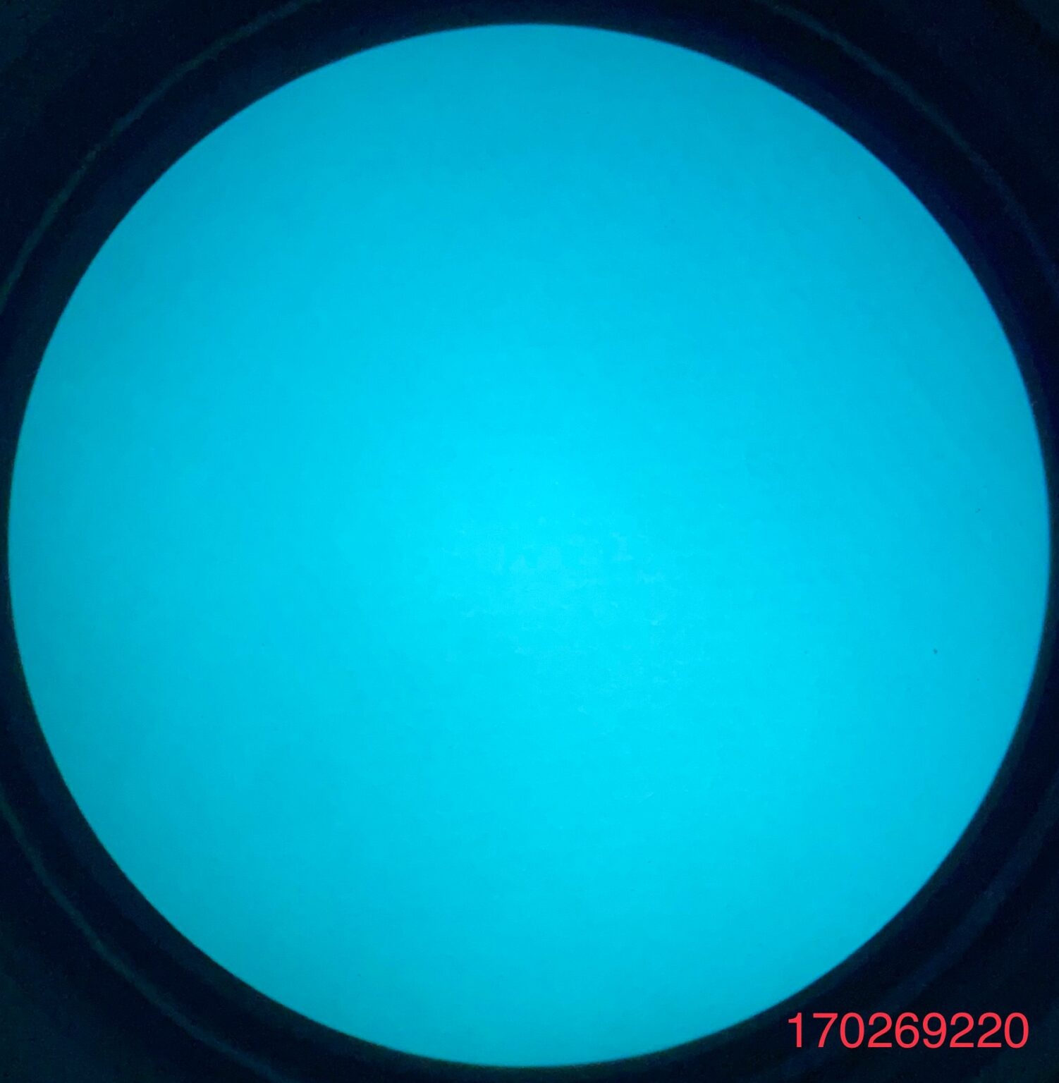 L3 Filmless White Phosphor Single Tubes - 11769 Style - Custom Night Vision